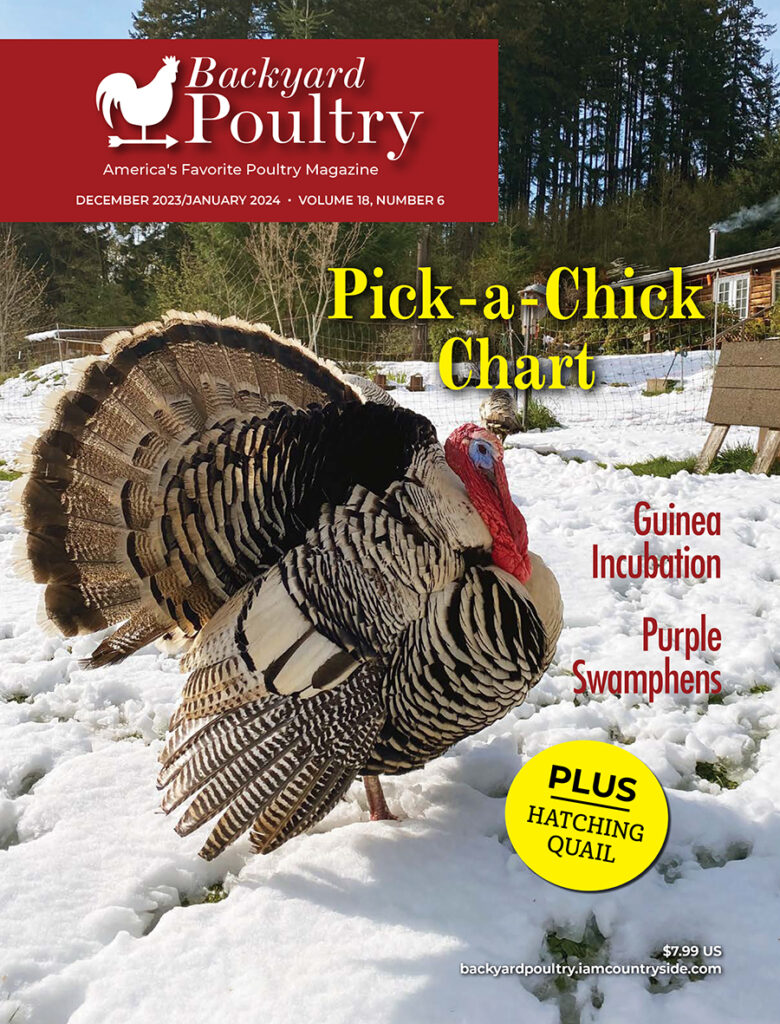 Backyard Poultry — December 2023/January 2024 - Backyard Poultry